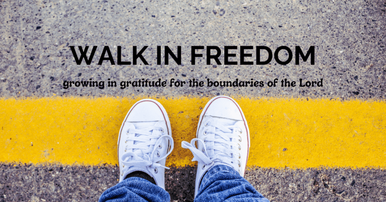 Walk in Freedom – Steadfast, Immovable, Abounding